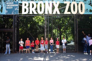 Photography Camp – Field Trip To The Bronx Zoo | Total City Girl - The Blog